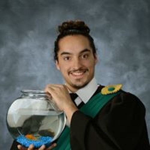 Stream Hassib Is The Best music | Listen to songs, albums, playlists ...