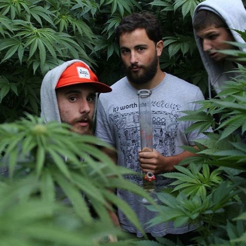 Stream Cruizin' by Conncept | Listen online for free on SoundCloud Stream Cruizin' by Conncept | Listen online for free on SoundCloud