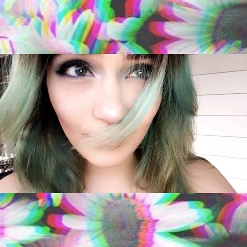 Stream Kush Kitten music | Listen to songs, albums, playlists for free ...