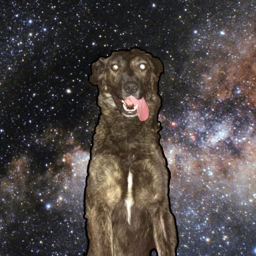 Stream Preeriakoira Baila rapida mixtape by Preeriakoira | Listen ...