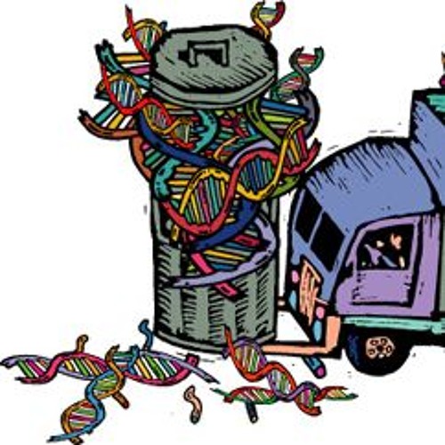 Stream junk dna music | Listen to songs, albums, playlists for free on ...