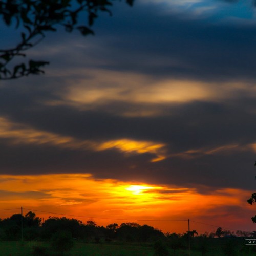 Stream Alex Razvan 10 music | Listen to songs, albums, playlists for ...