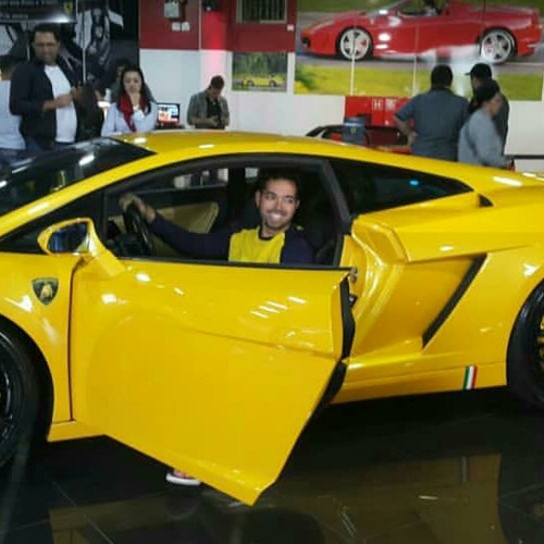 Avicii Car