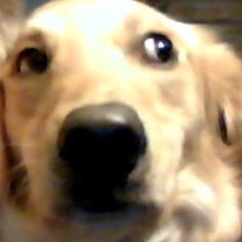 Stream Peter Innis music | Listen to songs, albums, playlists for free ...