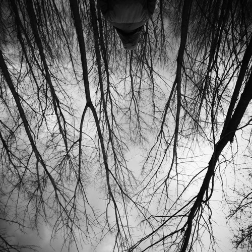 Stream Tim Fleck music | Listen to songs, albums, playlists for free on ...