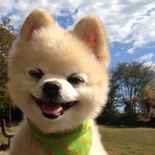 Stream Steven Kao music | Listen to songs, albums, playlists for free ...