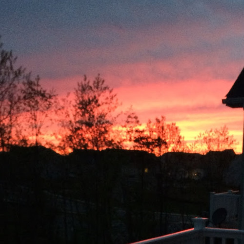 Stream Michelle Lehner music | Listen to songs, albums, playlists for ...