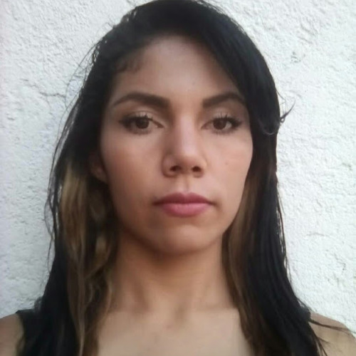 Stream ANEXO B entrevista realizada by Stephanie Itzel Corrales ...