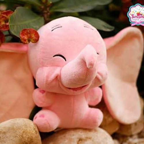 Stream Reem Taha music | Listen to songs, albums, playlists for free on ...