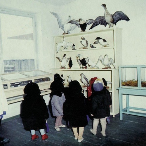 Stream ghost high music | Listen to songs, albums, playlists for free ...