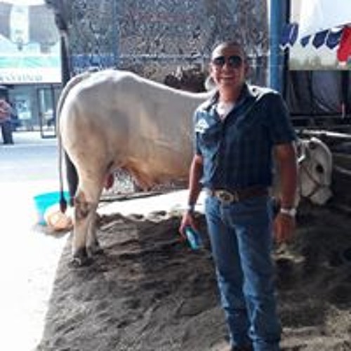 Stream Ronald Ram Morera music | Listen to songs, albums, playlists for ...