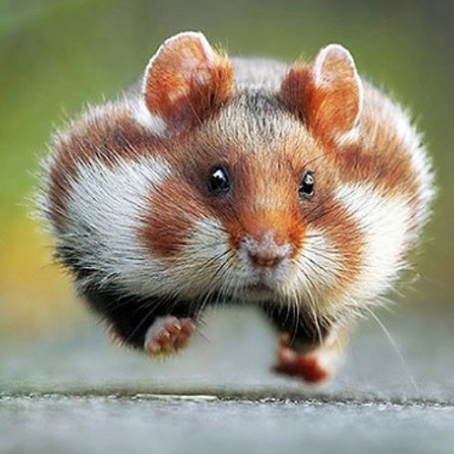 Stream EricT music | Listen to songs, albums, playlists for free on ...