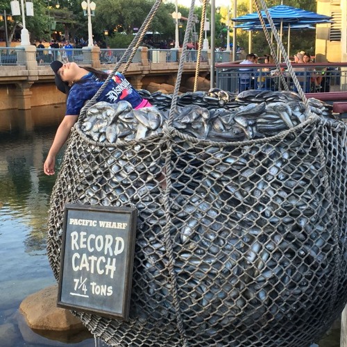 Stream Elizabeth Armas music | Listen to songs, albums, playlists for ...