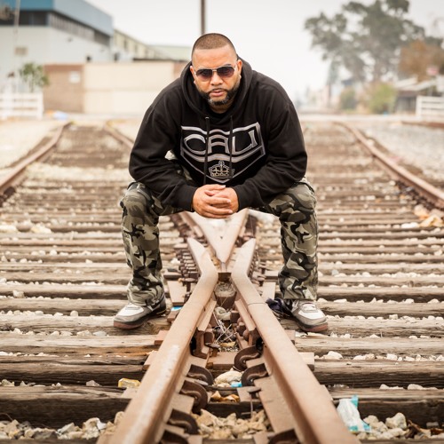 Stream The 5 Elements feat. Haph Breed by SABOTAJ | Listen online for ...