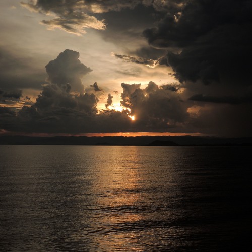 Stream Michael Rolli music | Listen to songs, albums, playlists for ...