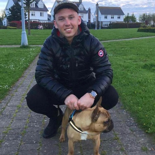 Stream Dylan Higgins music | Listen to songs, albums, playlists for ...