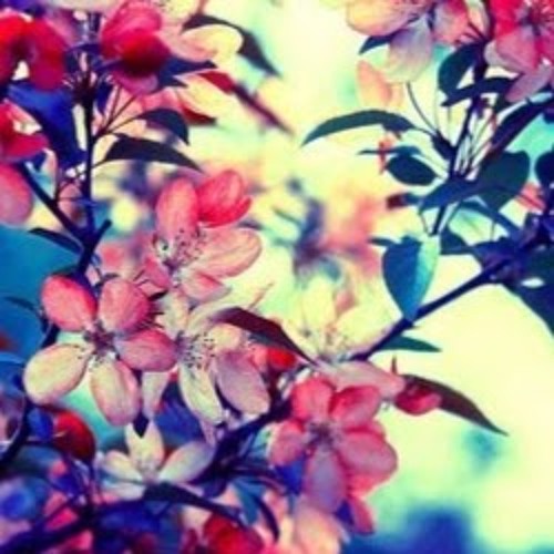 Stream Sandra Persaud music | Listen to songs, albums, playlists for ...