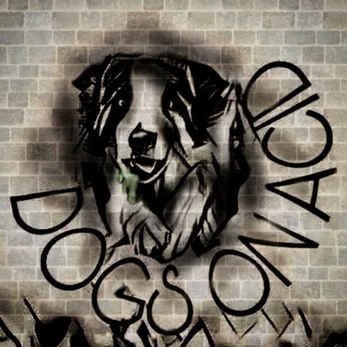 Stream Dogs On Acid music | Listen to songs, albums, playlists for free ...