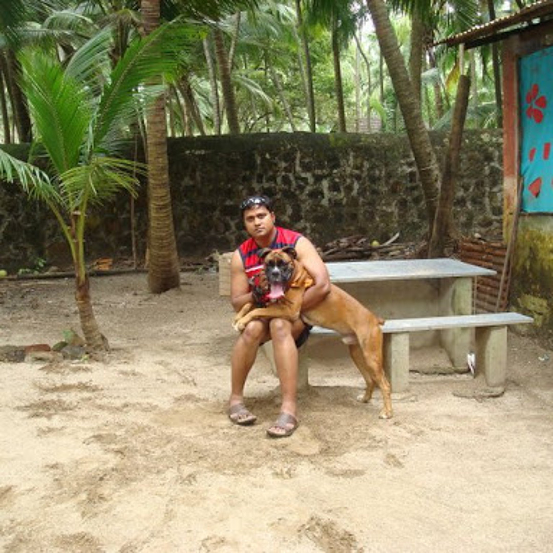 Stream Jerome Fernandes | Listen to Konkani Audio Bible playlist online ...