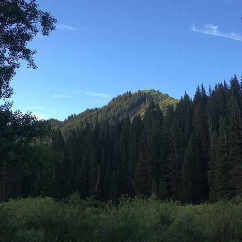 Stream Karsten Bench music | Listen to songs, albums, playlists for ...