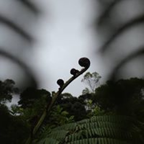 Stream Alchemy Rising music | Listen to songs, albums, playlists for ...