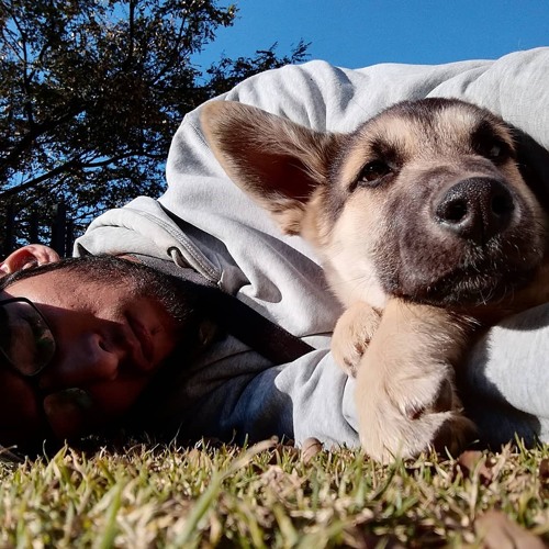 Stream Uzzi music | Listen to songs, albums, playlists for free on ...