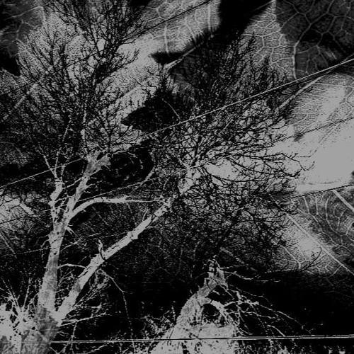 Stream dead prez remix by kfud | Listen online for free on SoundCloud