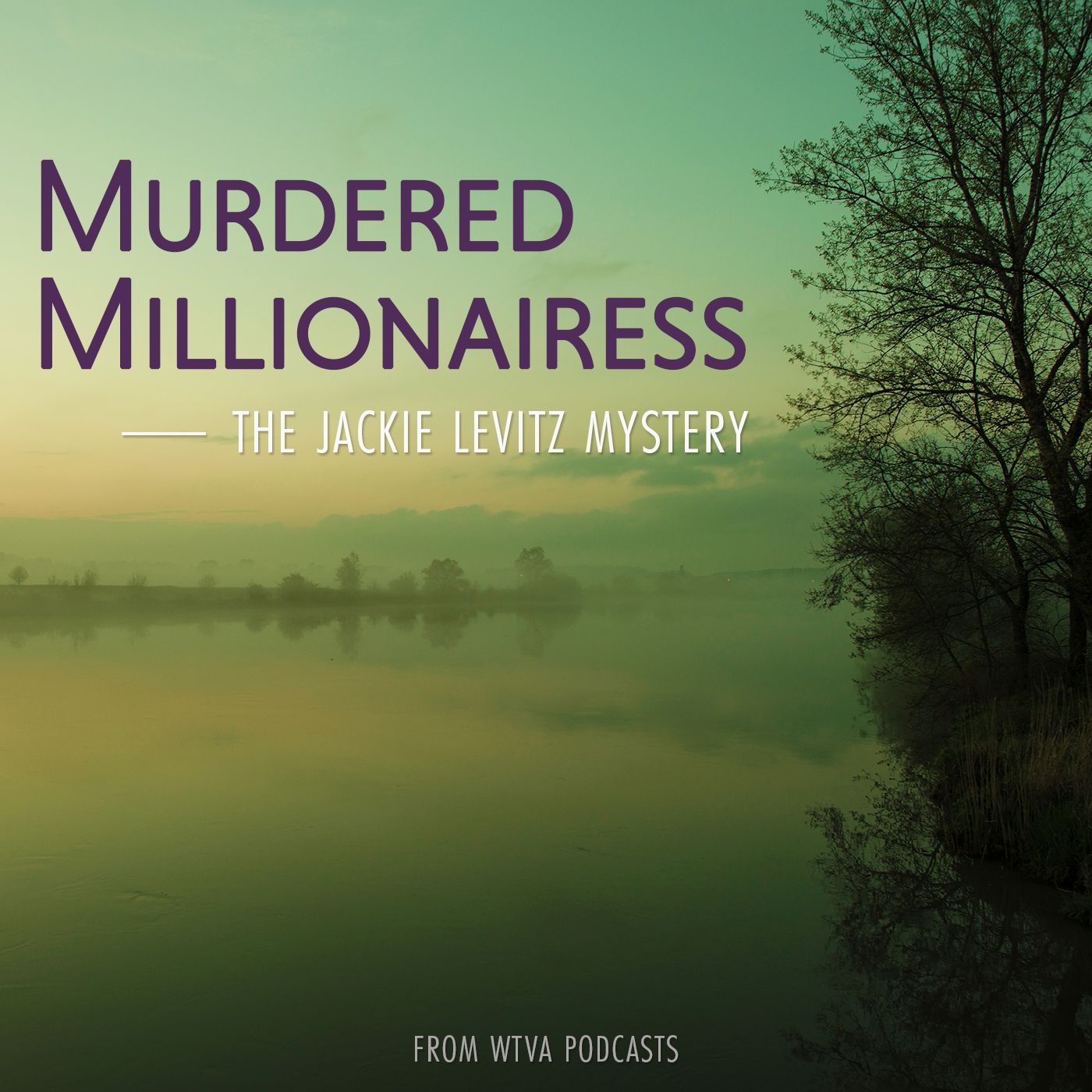 Murdered Millionairess: The Jackie Levitz Mystery (Podcast) | Podchaser