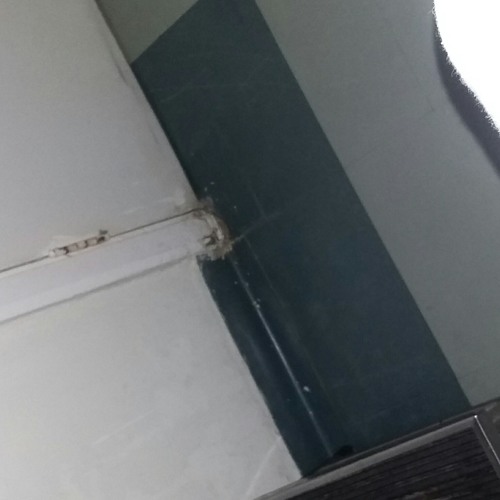 Stream Miranda qwerrt music | Listen to songs, albums, playlists for ...