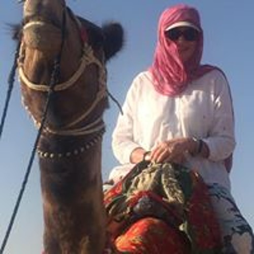 Stream Mystery Bird by Libby Anstis | Listen online for free on SoundCloud