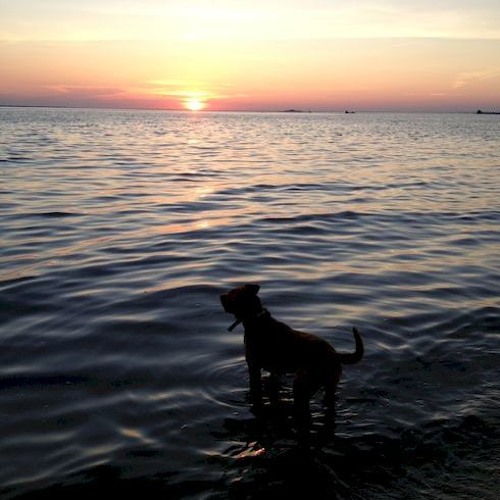 Stream Jon Tejada music | Listen to songs, albums, playlists for free ...