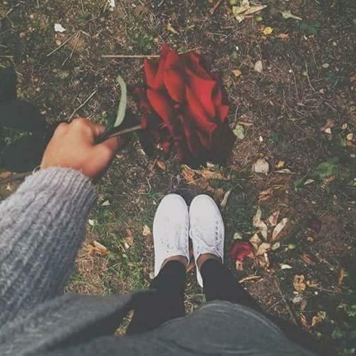 Stream Sara Wael | Listen to الله اعلم فضل شاكر playlist online for ...