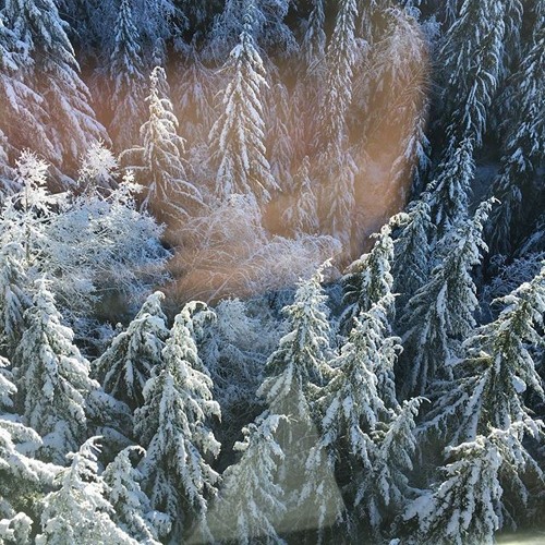 Stream Paulette Mitchell music | Listen to songs, albums, playlists for ...