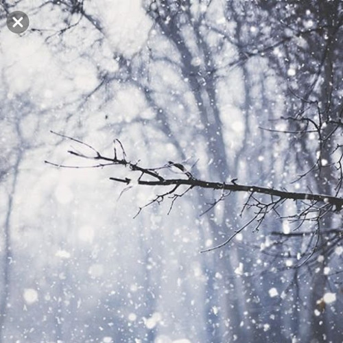 Stream Snowy maya music | Listen to songs, albums, playlists for free ...