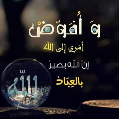 Stream Mahmoud Samy Fayed music | Listen to songs, albums, playlists ...