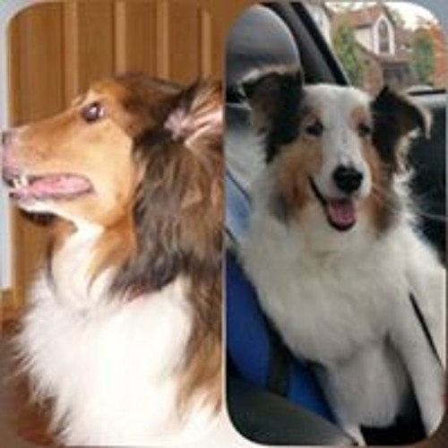 Stream Christian James Schofield music | Listen to songs, albums ...