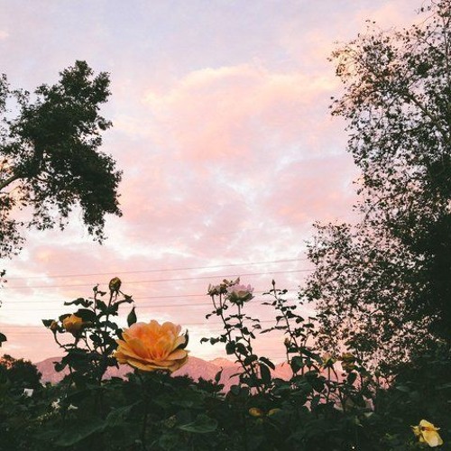 Stream 666666666 music | Listen to songs, albums, playlists for free on ...