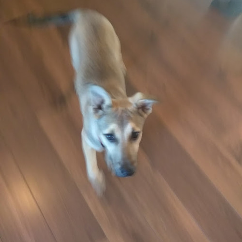 Stream Kayla Stanley music | Listen to songs, albums, playlists for ...