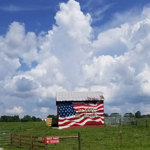 Stream TennesseeRiverRat music | Listen to songs, albums, playlists for ...