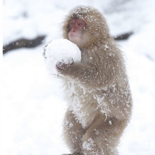 Stream Mark Lowman music | Listen to songs, albums, playlists for free ...