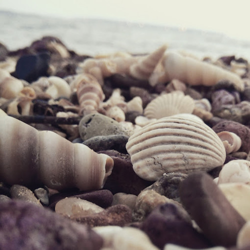 Stream Aditi Daga music | Listen to songs, albums, playlists for free ...