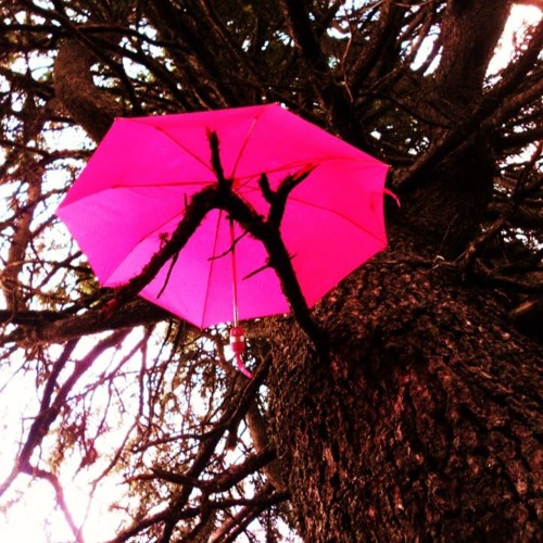 Stream Banzai Barbie music | Listen to songs, albums, playlists for ...