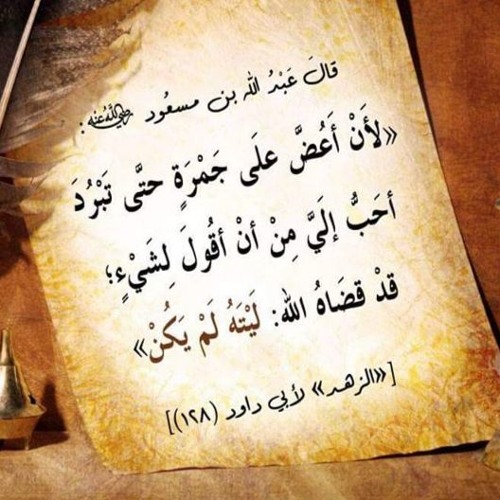 Stream Ziad Zayd Ali music | Listen to songs, albums, playlists for ...