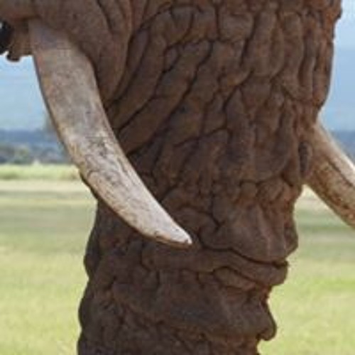 Stream Oliver McCormack music | Listen to songs, albums, playlists for ...