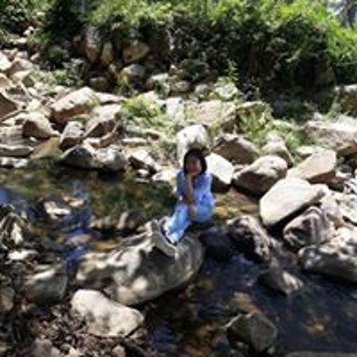 Stream Su Nguyen music | Listen to songs, albums, playlists for free on ...