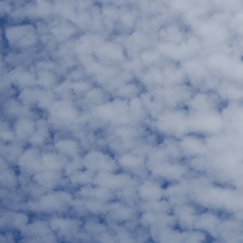 Stream Fenny Li music | Listen to songs, albums, playlists for free on ...