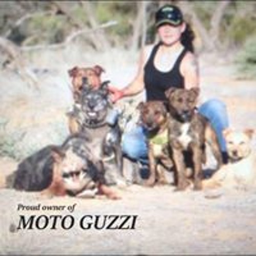 Stream Anouk Jacobs music | Listen to songs, albums, playlists for free ...