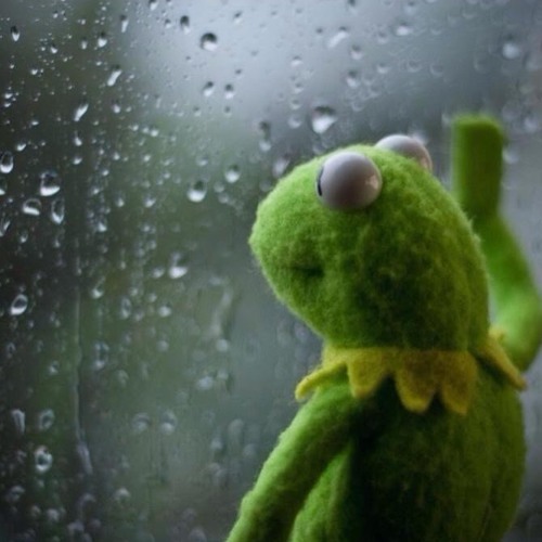 Found this on Paraiso. Depressed frog with anxiety looking out at the ...