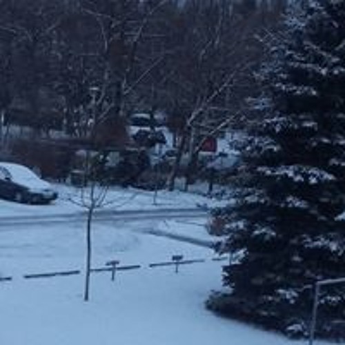 Stream Nehad music | Listen to songs, albums, playlists for free on ...