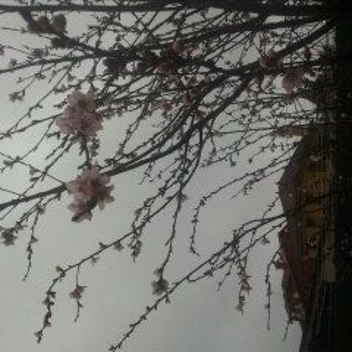 Stream Becky G swoger by carmen maria | Listen online for free on ...